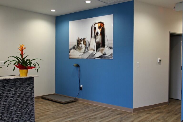 Veterinary Hospital Near Me | Veterinary Hospital in Dallas, TX