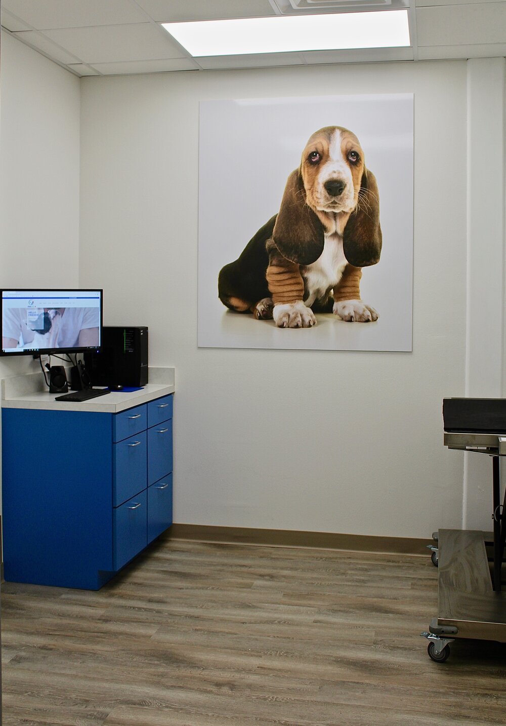 Veterinary Hospital Near Me | Veterinary Hospital in Dallas, TX