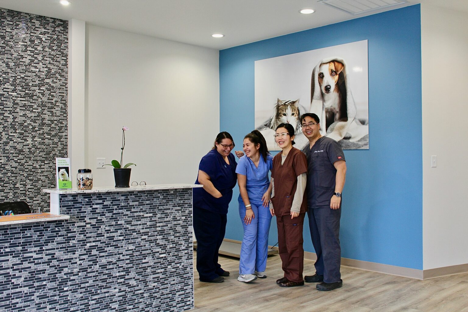 Veterinary Hospital Near Me | Veterinary Hospital in Dallas, TX